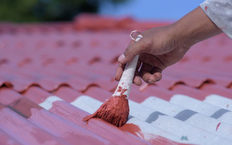 About Us | Paint Applicator | Wondercoat Professional
